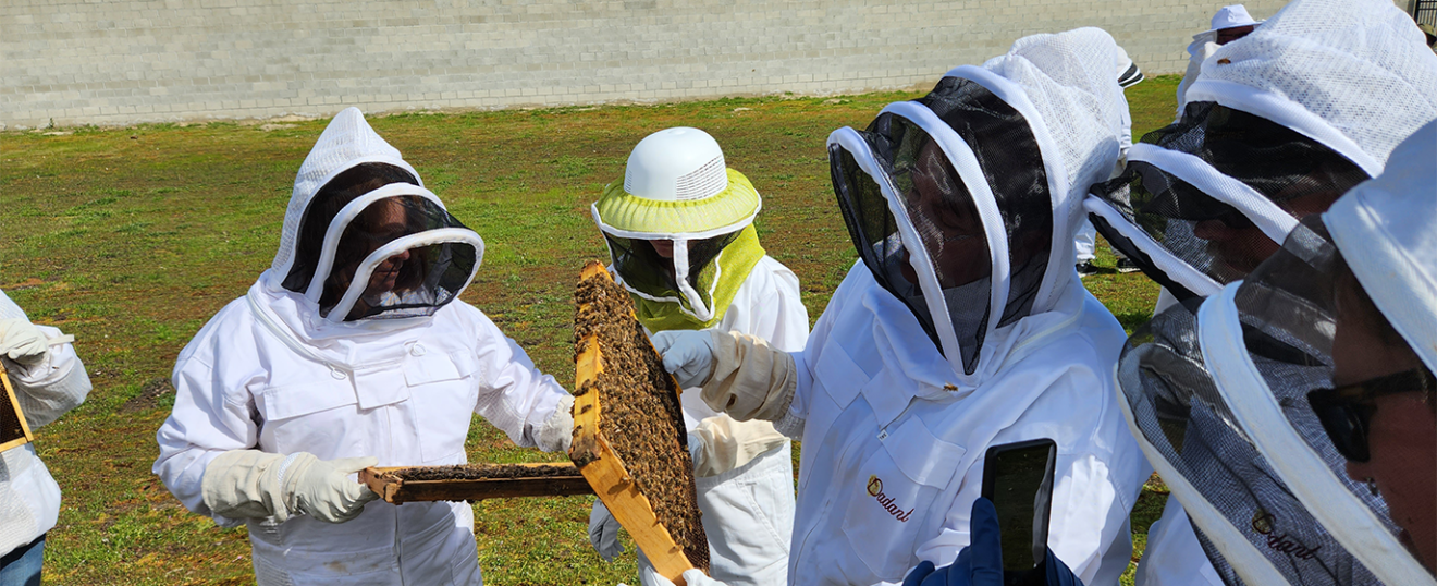 CVBA Follow up Beekeeping Class – Hive Day - Central Valley Beekeepers ...